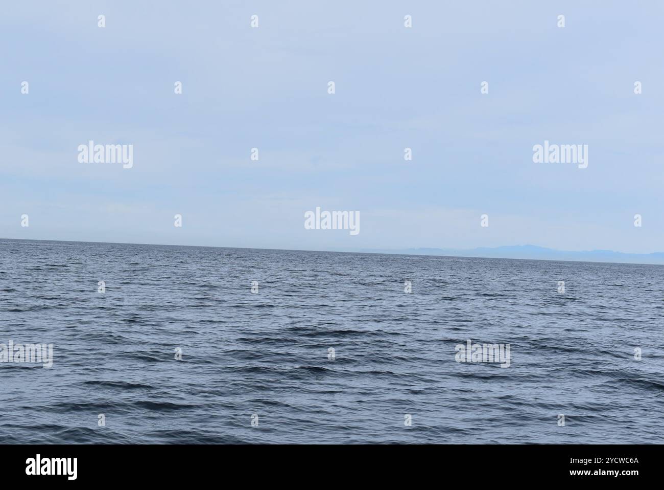 Embark on an unforgettable adventure in the picturesque waters of San ...