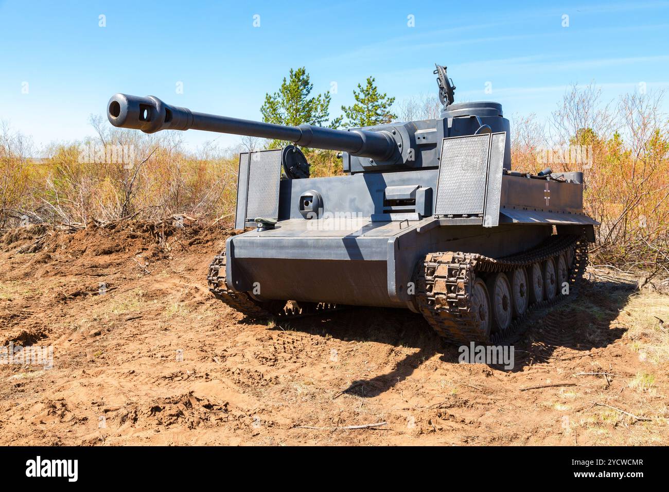 Summer tiger hi-res stock photography and images - Alamy