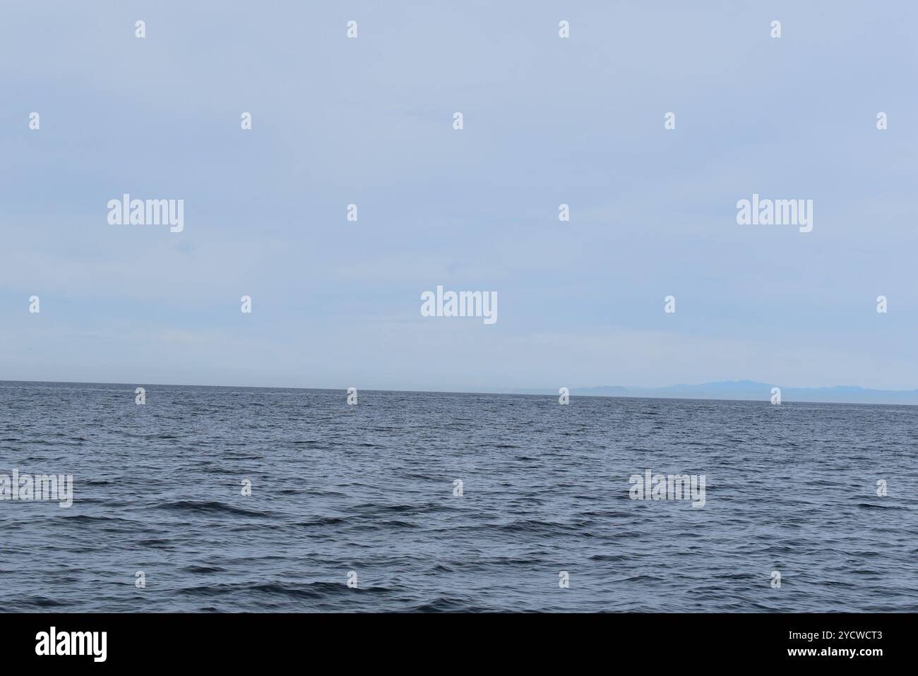 Embark on an unforgettable adventure in the picturesque waters of San ...