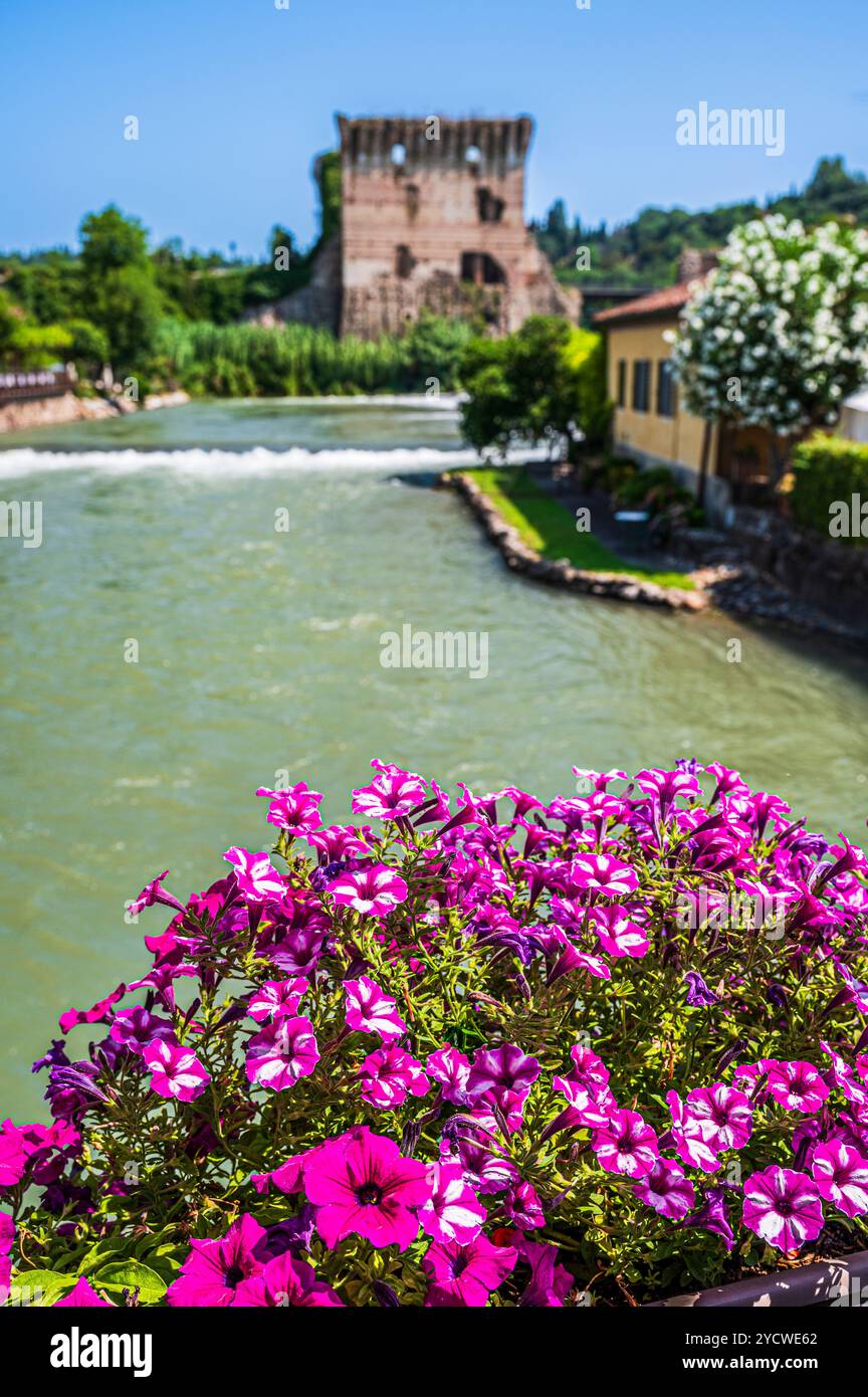 Summer on the Mincio river. Historic village of Borghetto sul Mincio ...