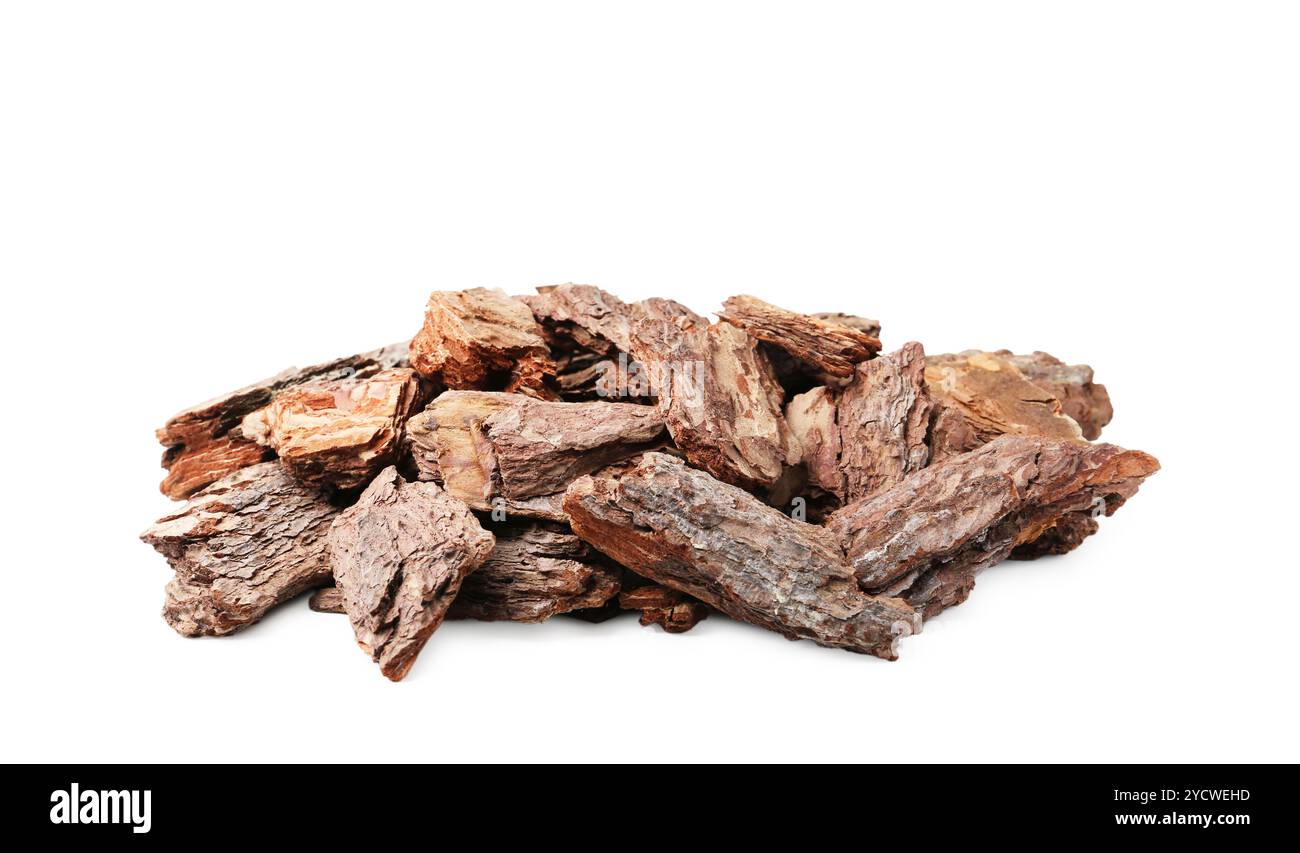 Pieces of tree bark on white background Stock Photo - Alamy