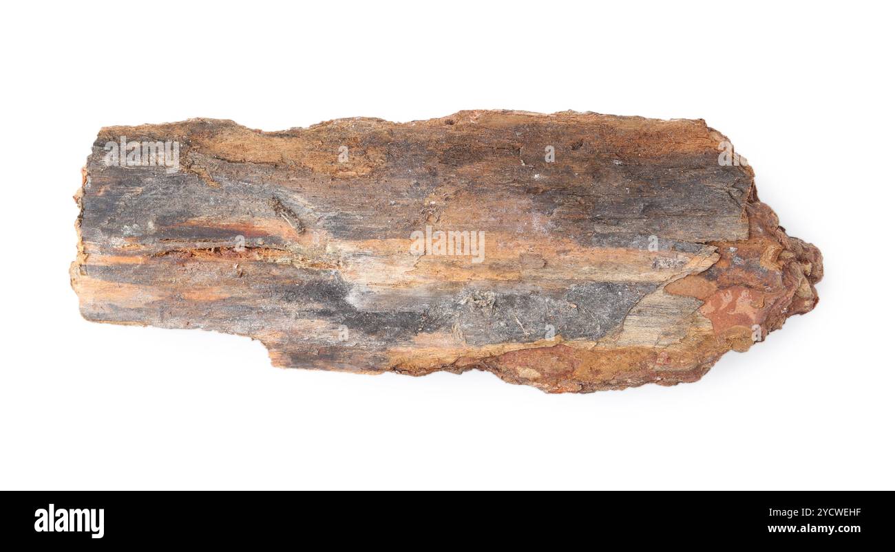 One piece organic white hi-res stock photography and images - Alamy