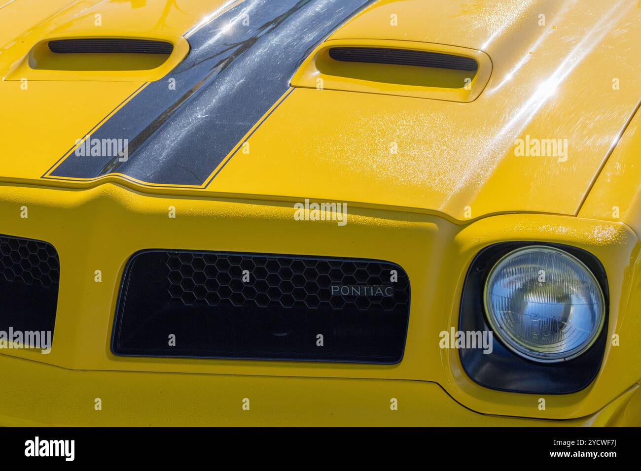 Close up of the hood and grill of a yellow pontiac firebird trans am ...