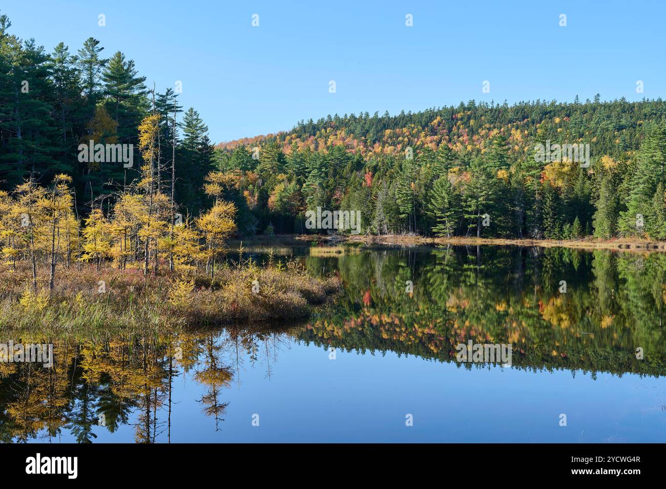 Autumn reflections in Baxter State Park, Maine Stock Photo - Alamy