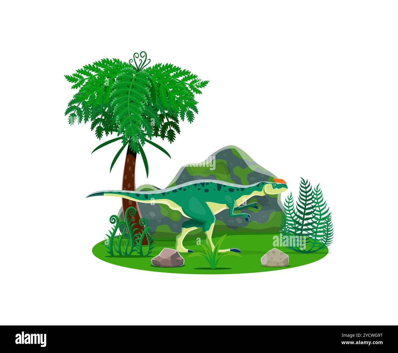 Tree ferns forest Stock Vector Images - Alamy