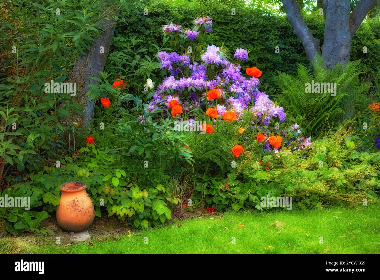 Nature, bushes and flowers in eco friendly garden for botany ...