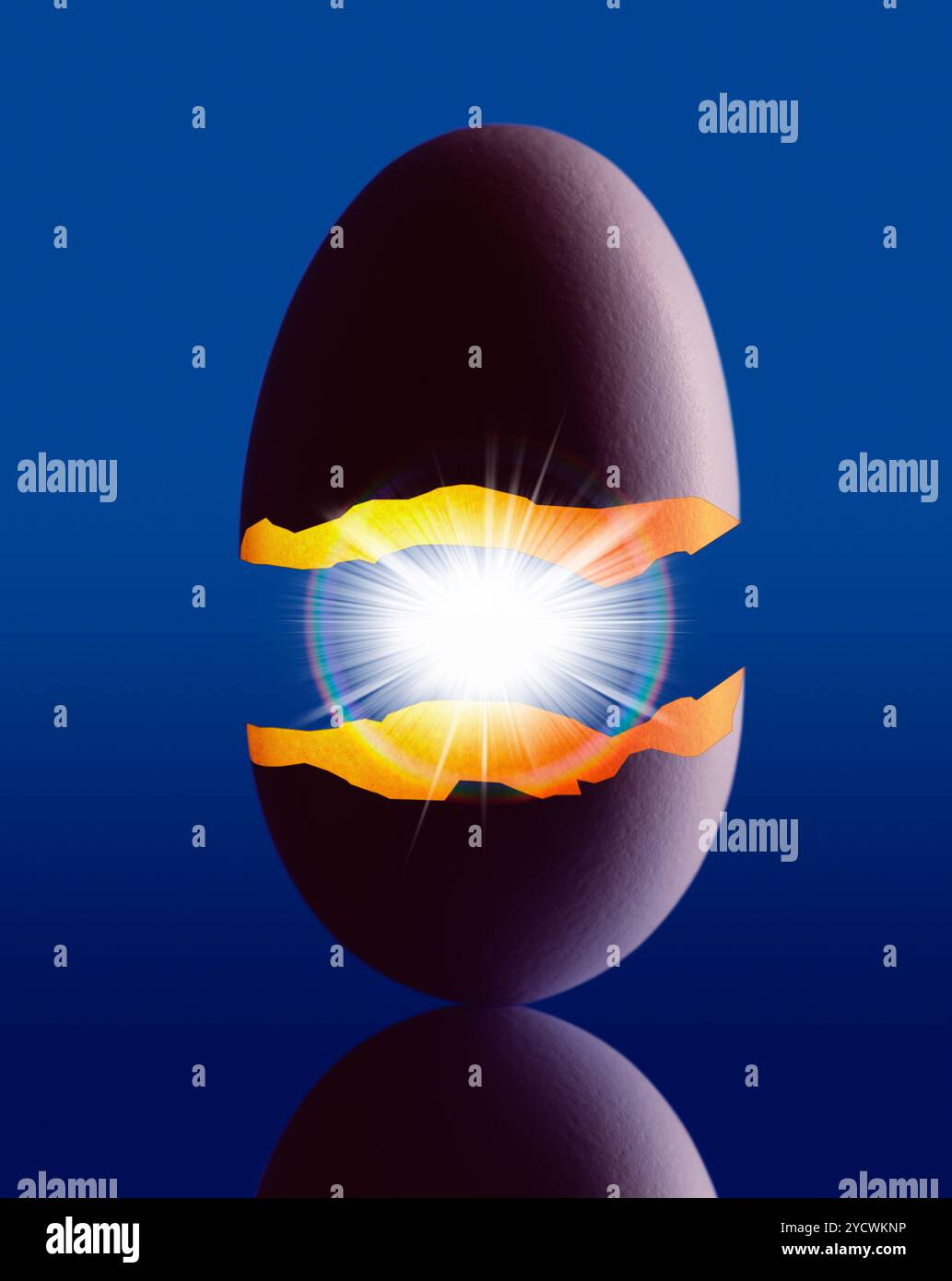 Crack shell hi-res stock photography and images - Alamy