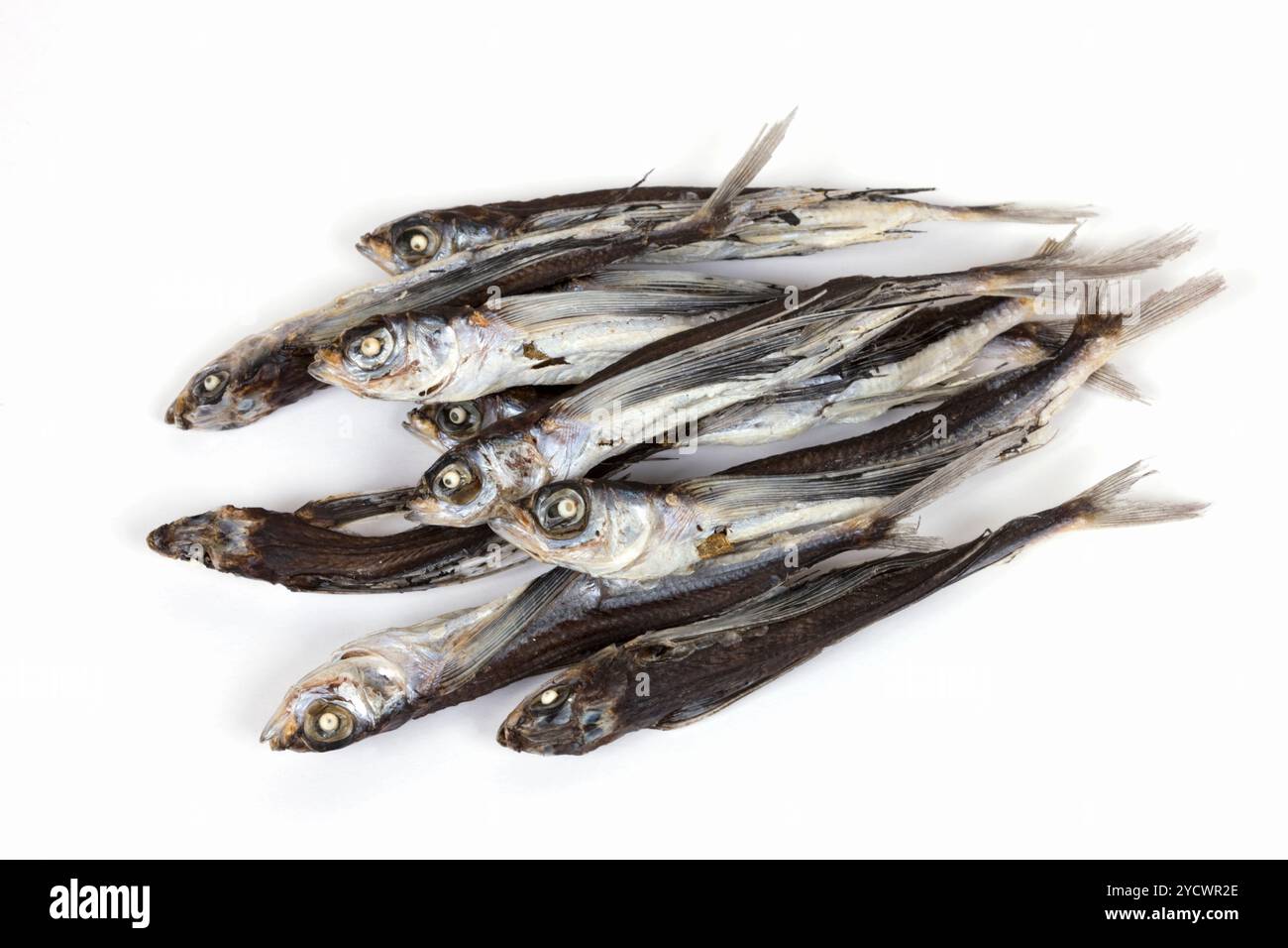 Back of fish Cut Out Stock Images & Pictures - Alamy