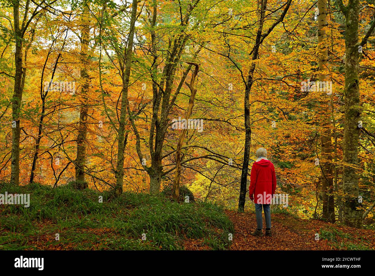 Logie Steading Forres Scotland a walk along the banks of the River ...