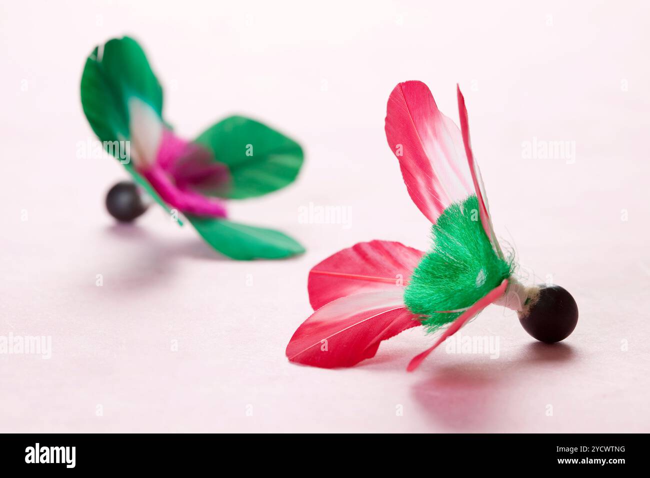 Sum wing hi-res stock photography and images - Alamy