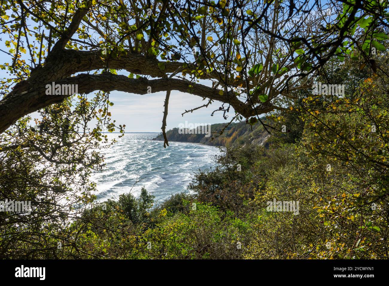 View of the fishing village of Vitt at Cape Arkona on Rügen Landscape ...