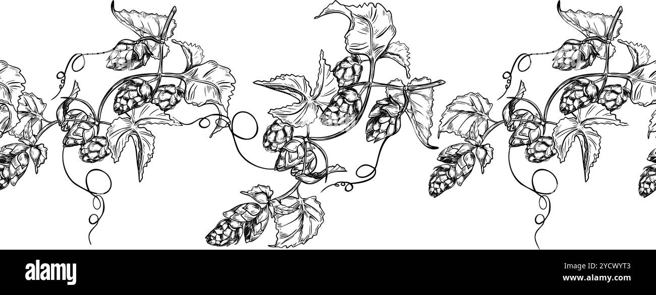 Hop vine, humulus cone black white graphic vector seamless border ...