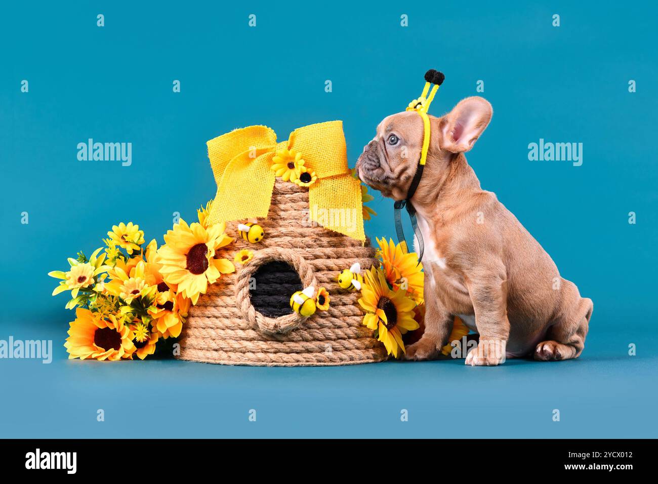 Red fawn French Bulldog dog puppy with bee costume antlers sitting next ...