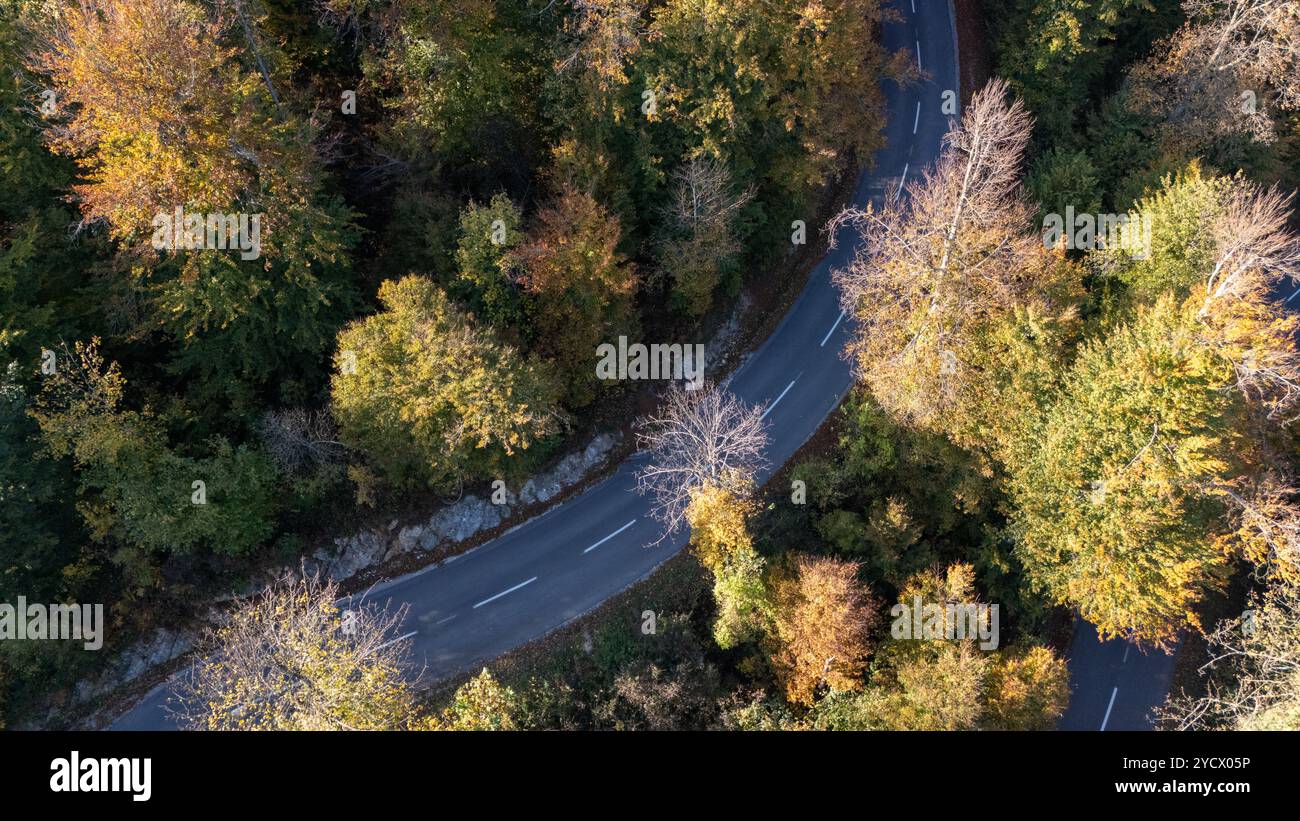 Captivating forest hi-res stock photography and images - Alamy