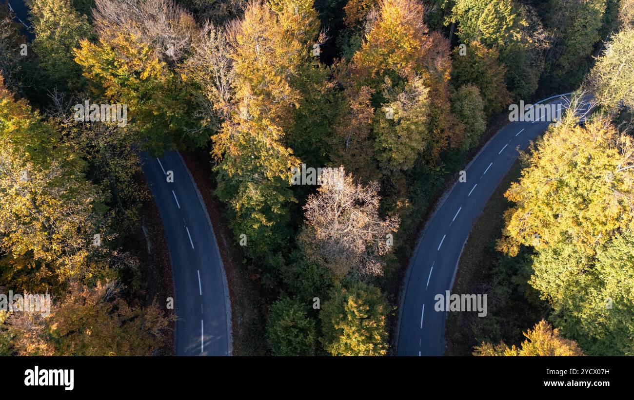 Captivating forest hi-res stock photography and images - Alamy