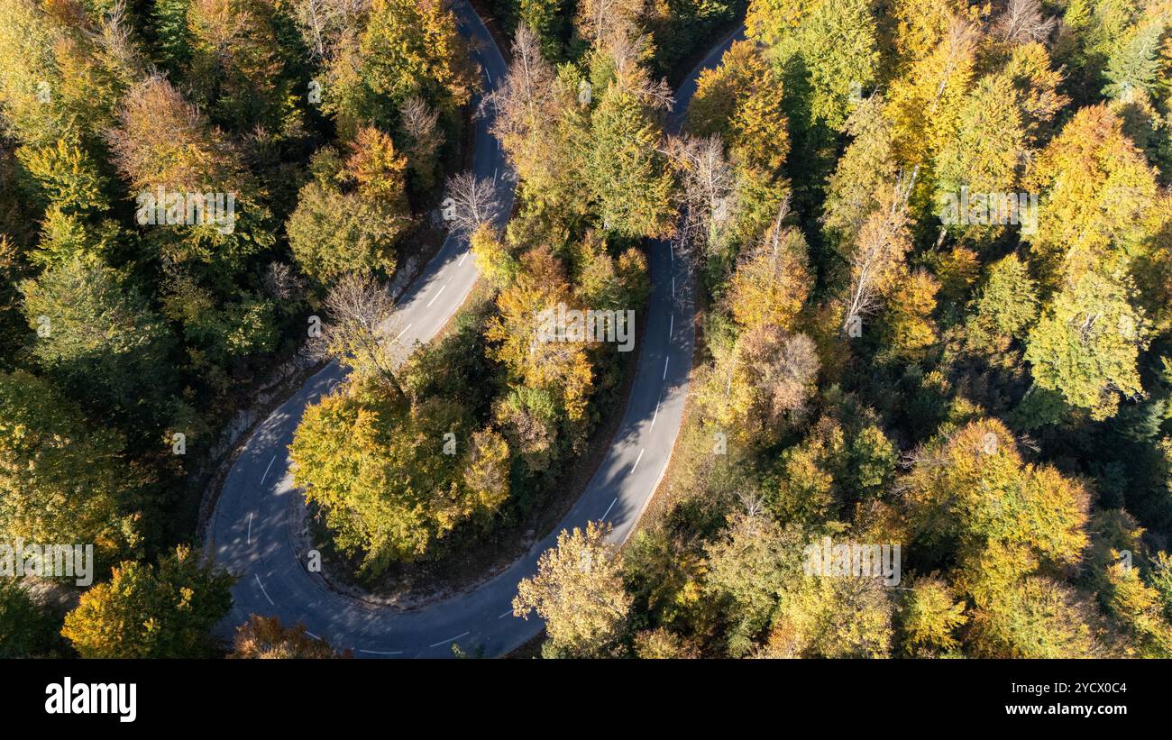 AERIAL Curved mountain road between autumn season trees from above ...
