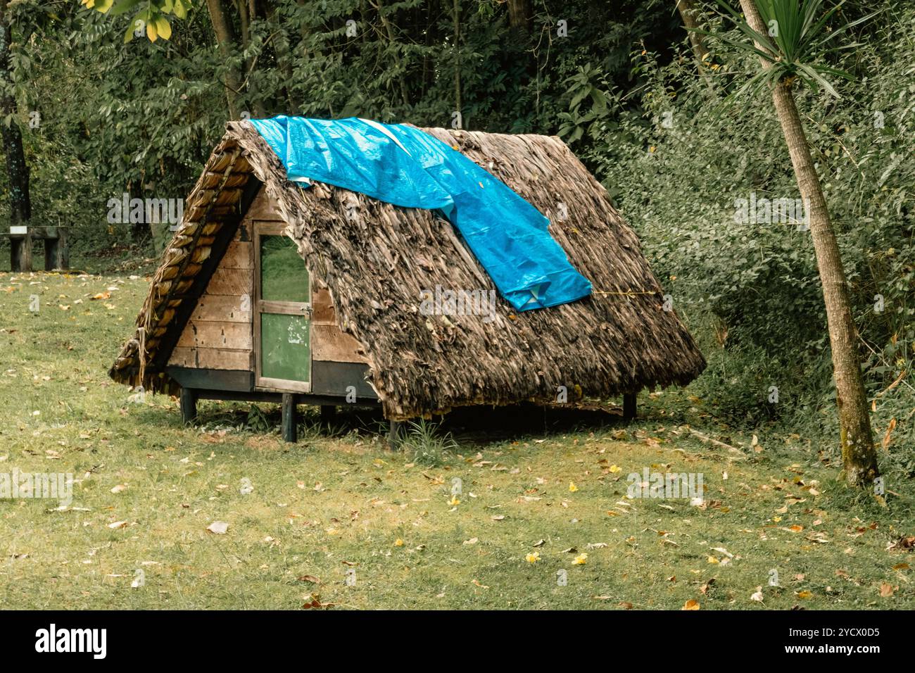 A cabin at a campsite at Magamba Nature Forest Reserves in Usambara ...