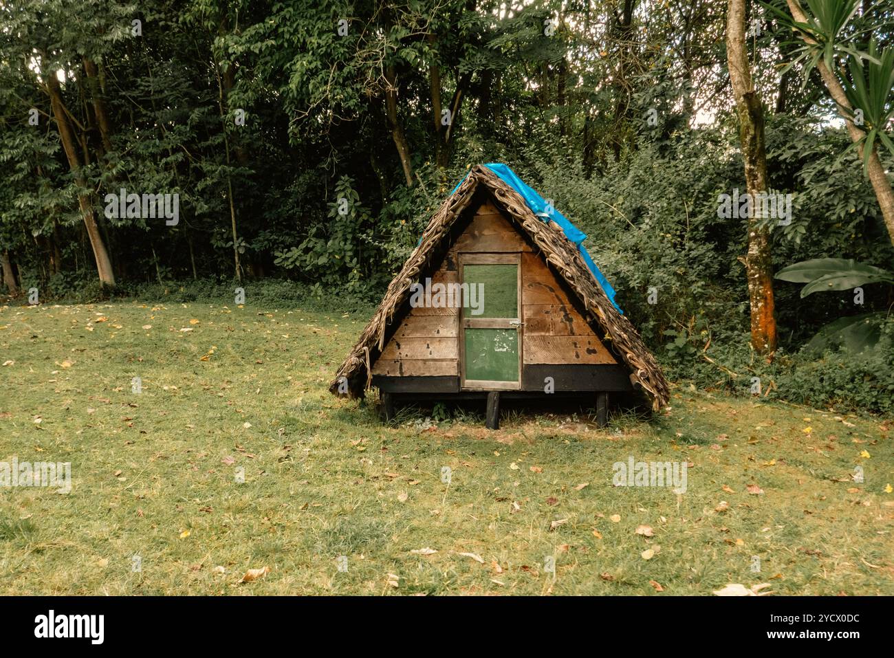 A cabin at a campsite at Magamba Nature Forest Reserves in Usambara ...