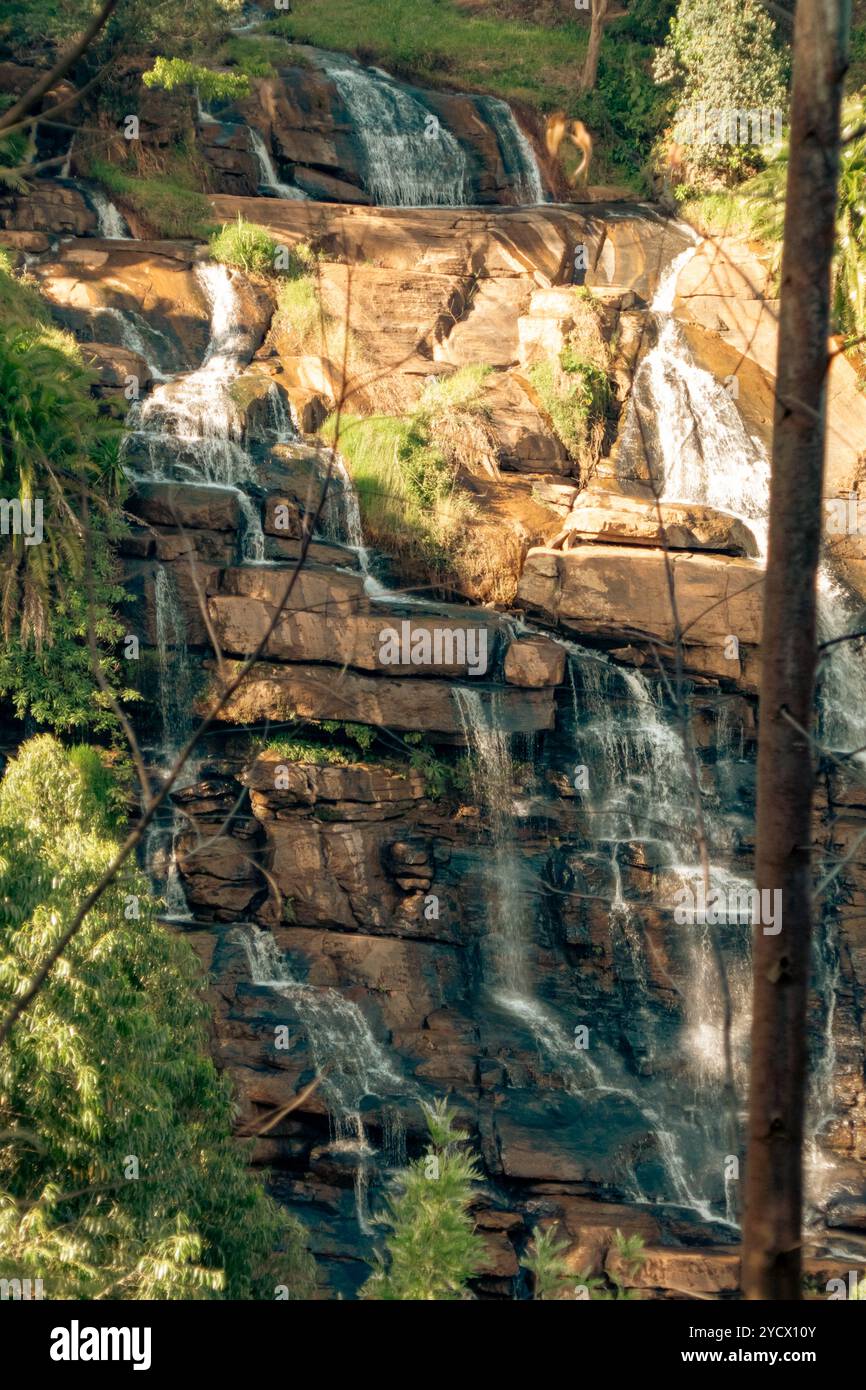 Scenic View of Kisasa Waterfalls in Magamba Nature Forest Reserves ...
