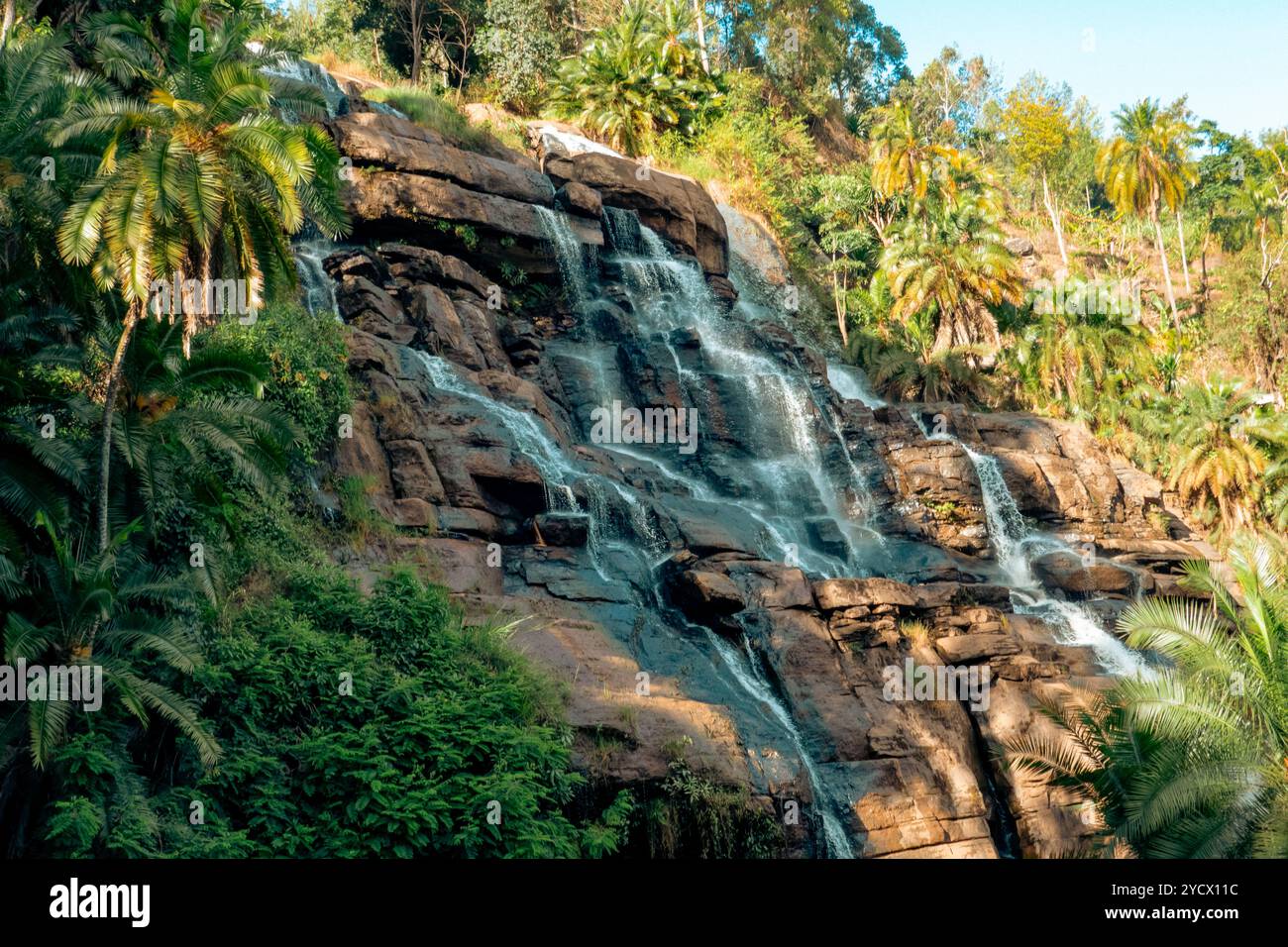 Scenic View of Kisasa Waterfalls in Magamba Nature Forest Reserves ...