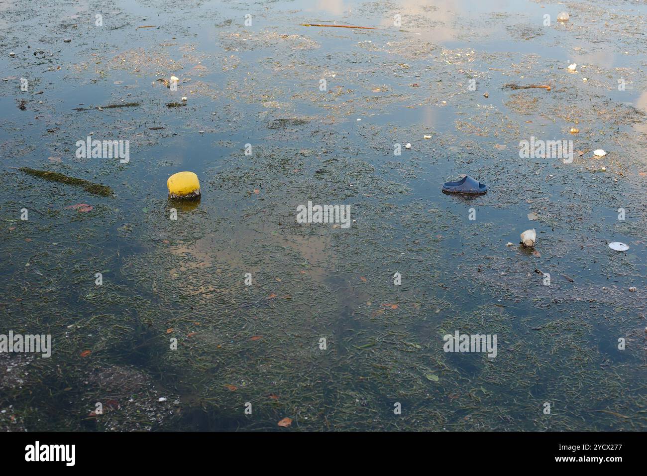 Yellow Blue trash in bay water after hurricane Milton storm. Man made ...