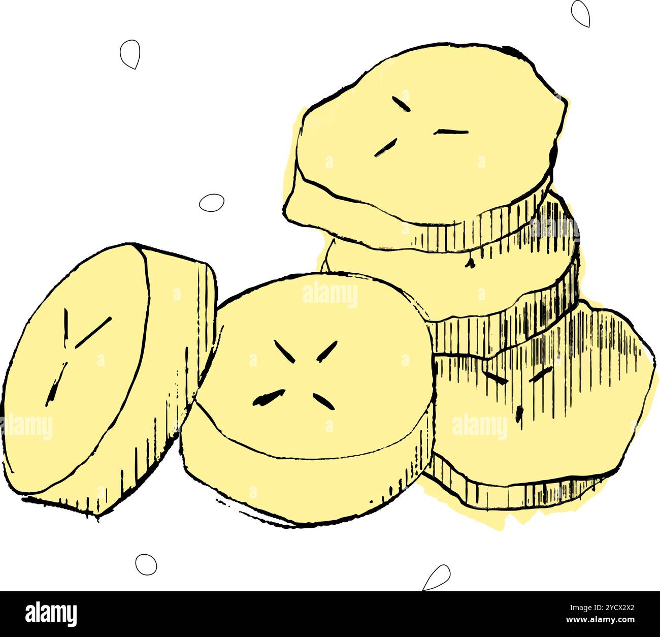 Graphic drawing of chopped banana fruit. Vector Banana slices on white ...