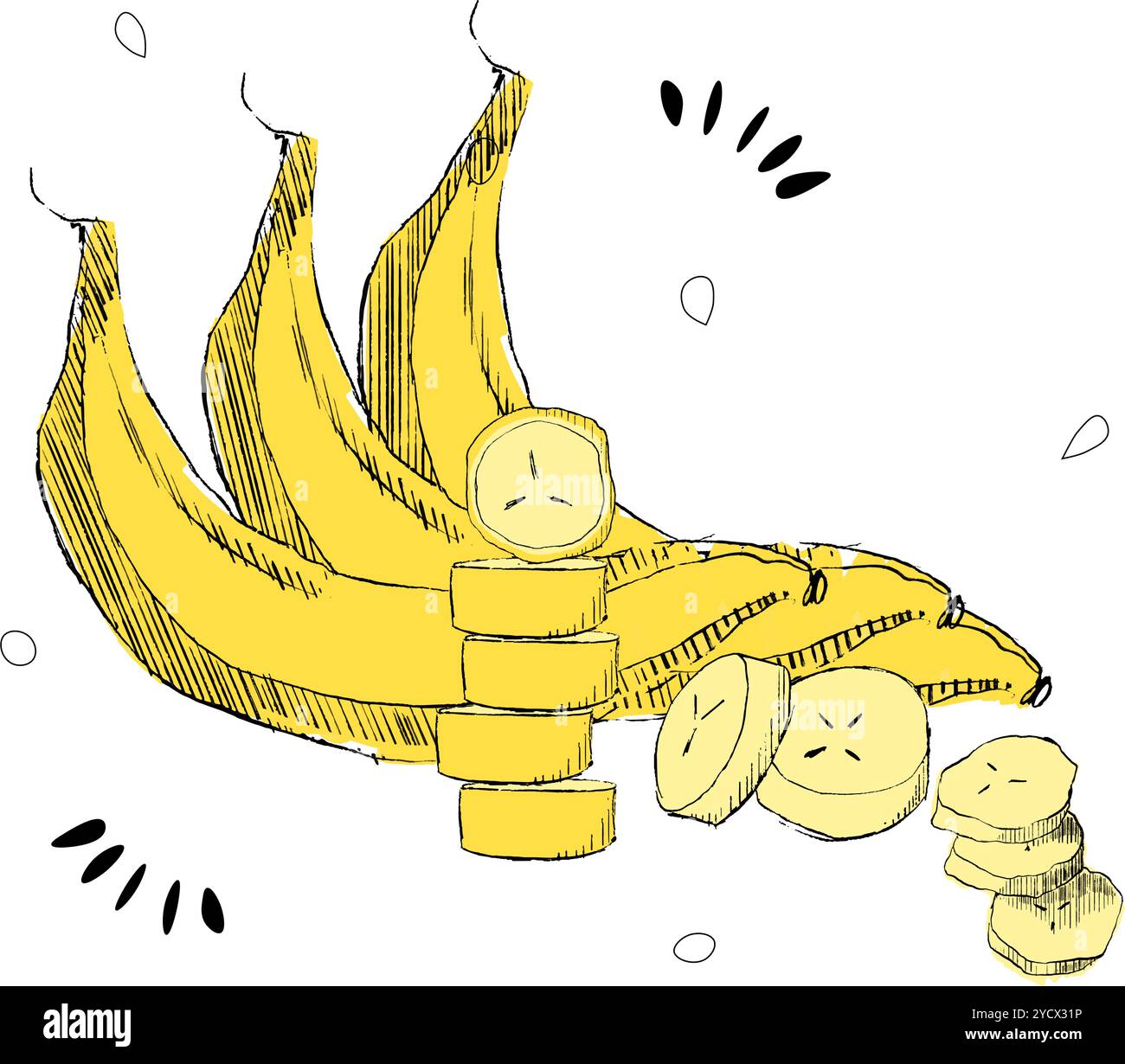 Three bananas forming a composition with different slices. Vector ...