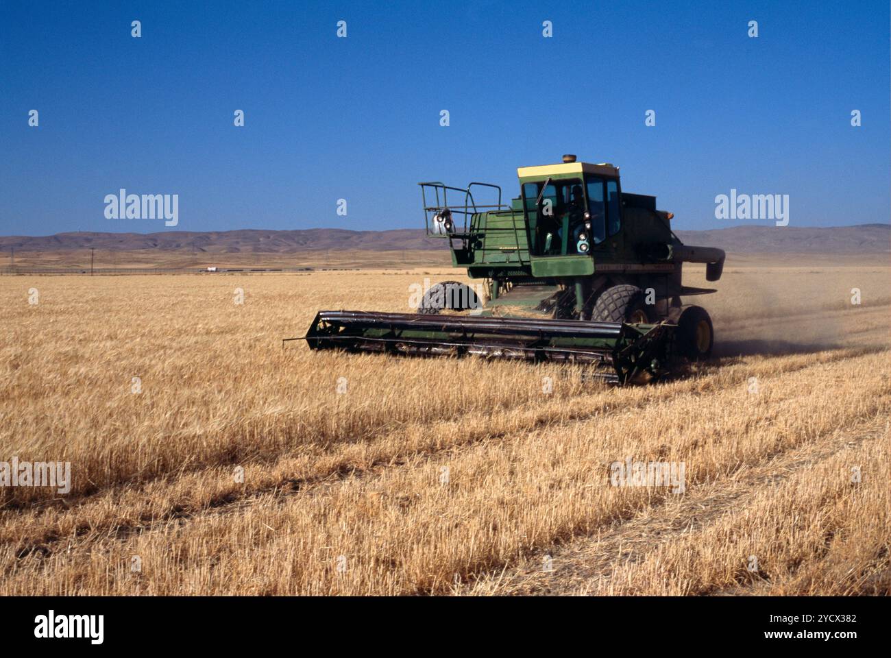 Wheat farm united states hi-res stock photography and images - Alamy