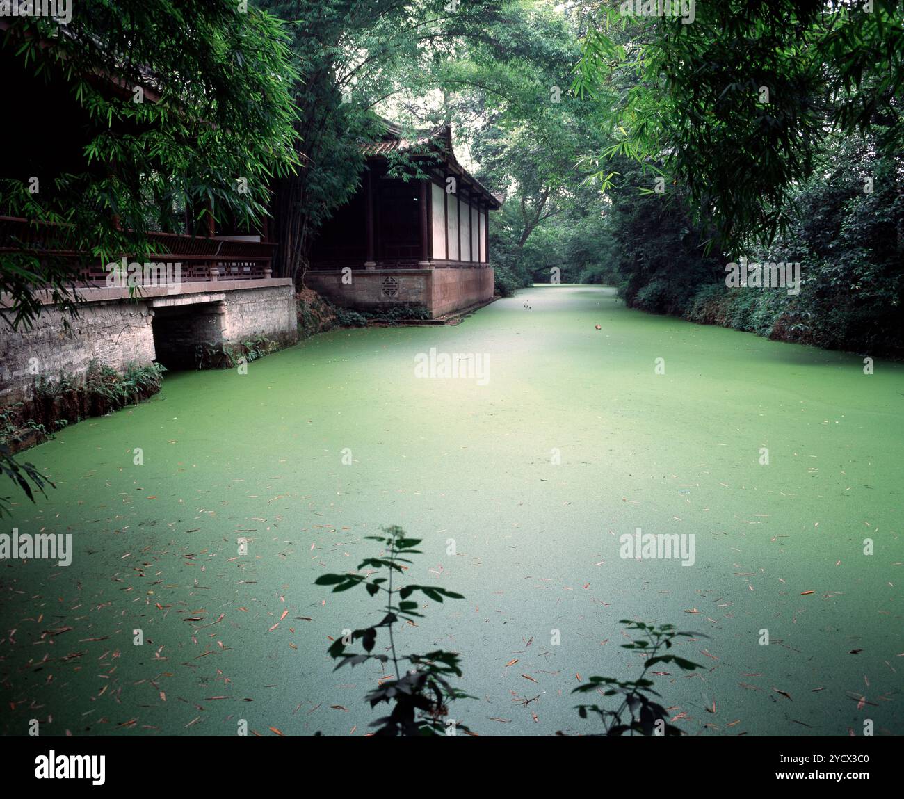 Du Fu Cottage Stock Photo - Alamy