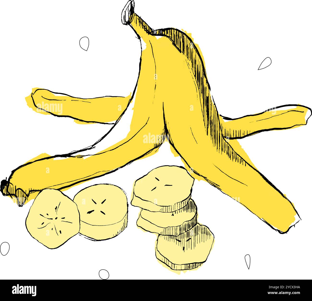Banana graphic composition vector with banana skin and slices for ...