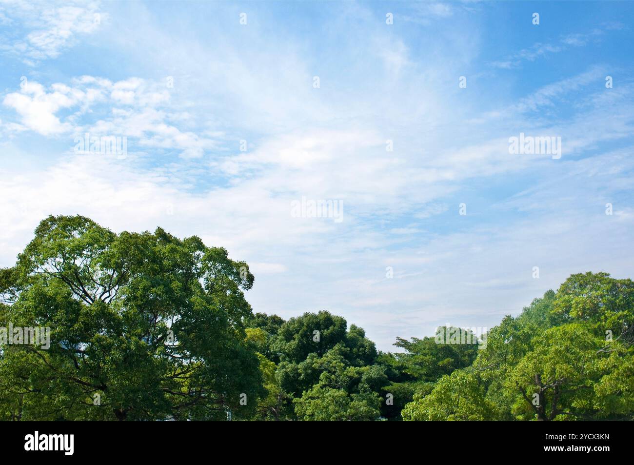 Sky and park hi-res stock photography and images - Alamy