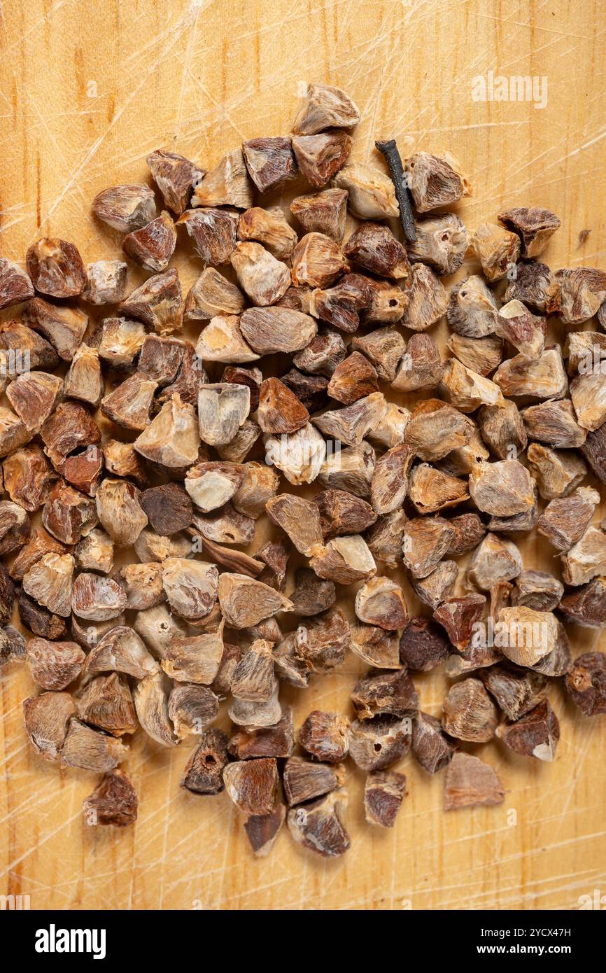 Amomum tsaoko hi-res stock photography and images - Alamy