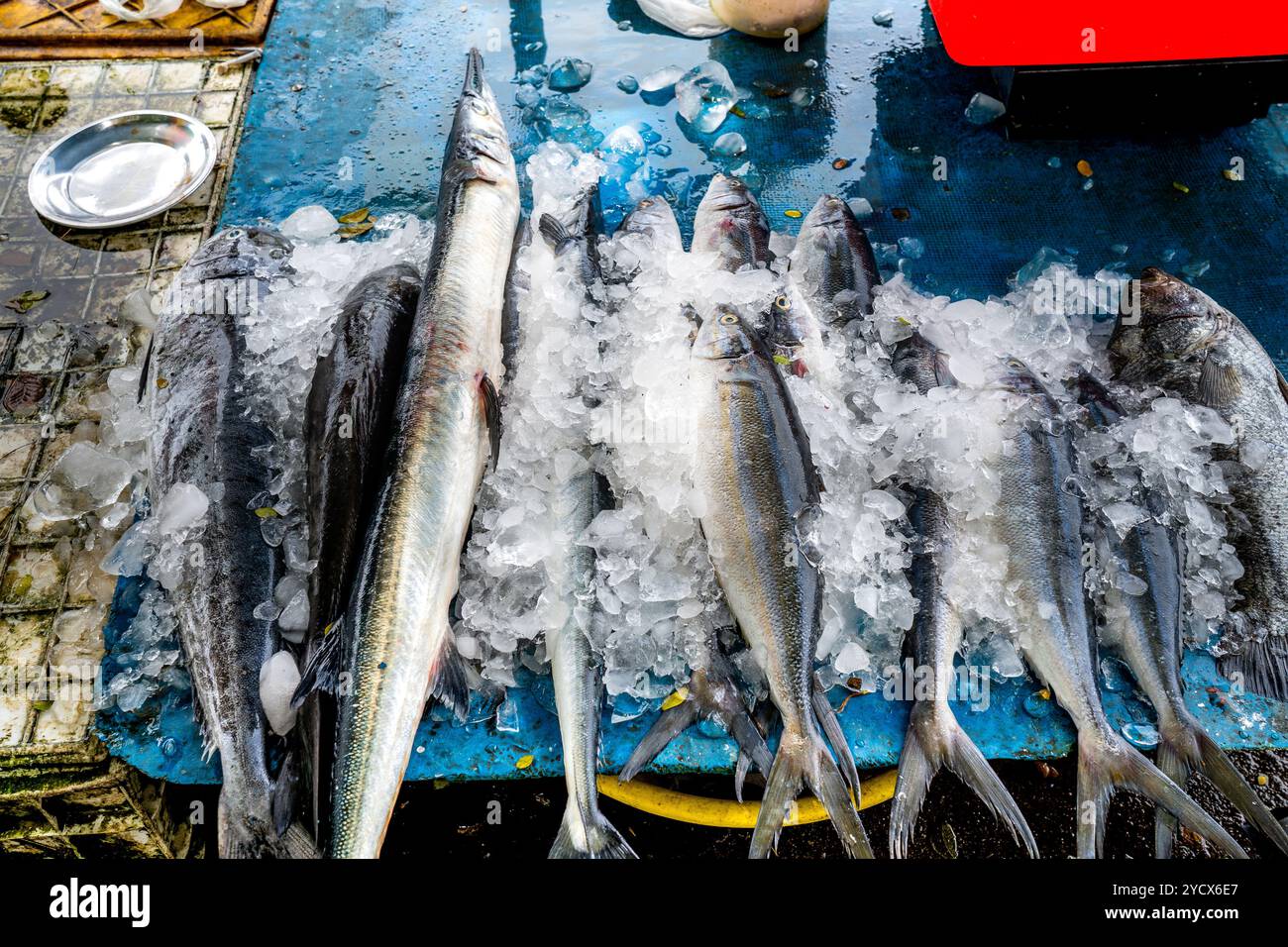 Fresh fish on local market Stock Photo - Alamy