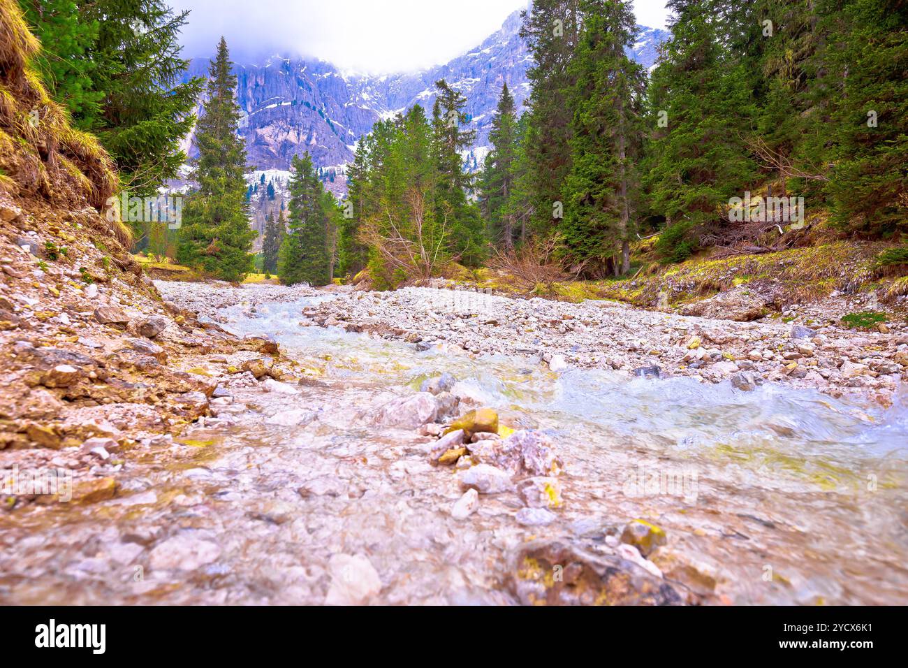 Alpine mountain creek stream hi-res stock photography and images - Alamy