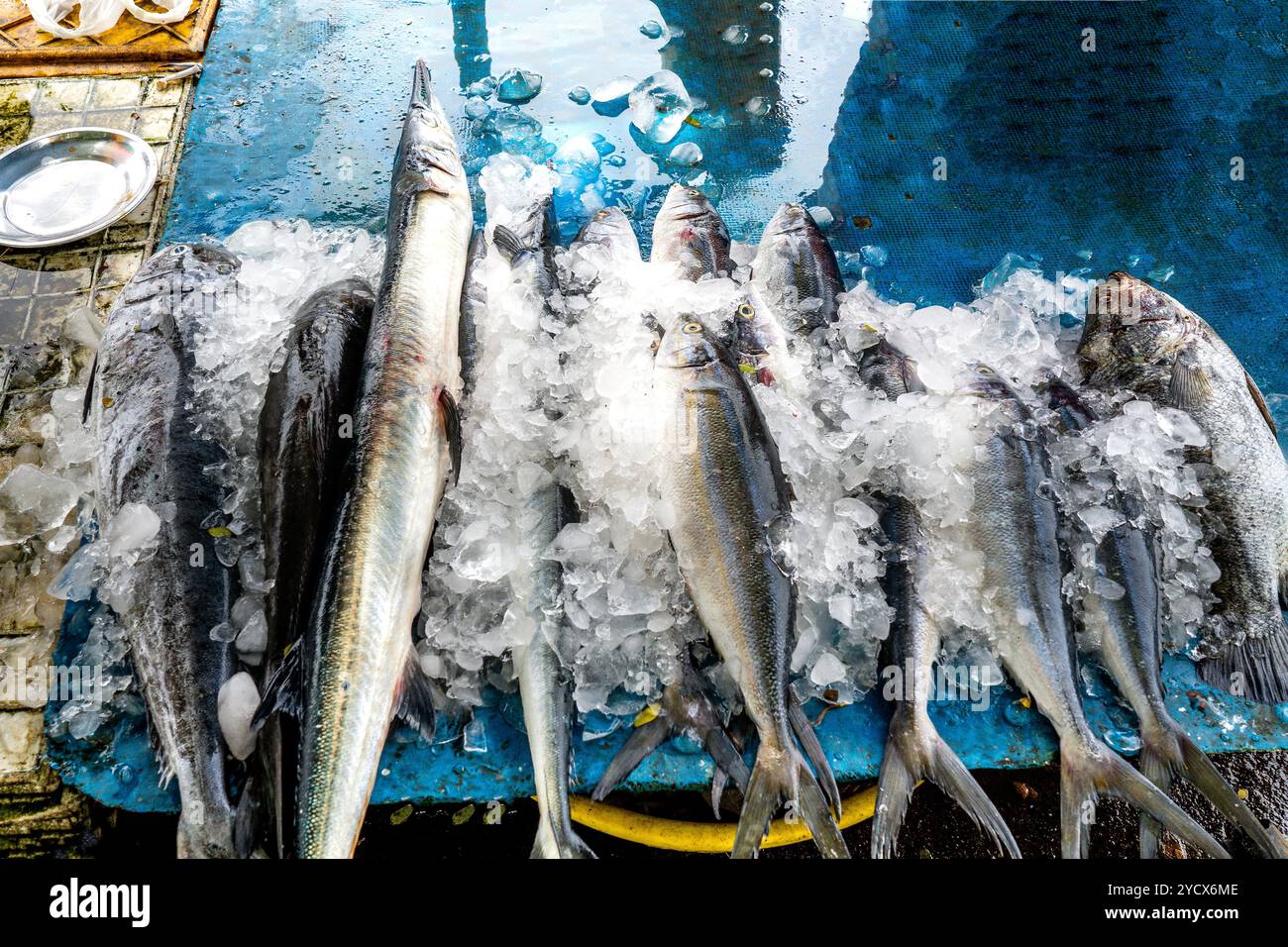 Fresh fish on local market Stock Photo - Alamy