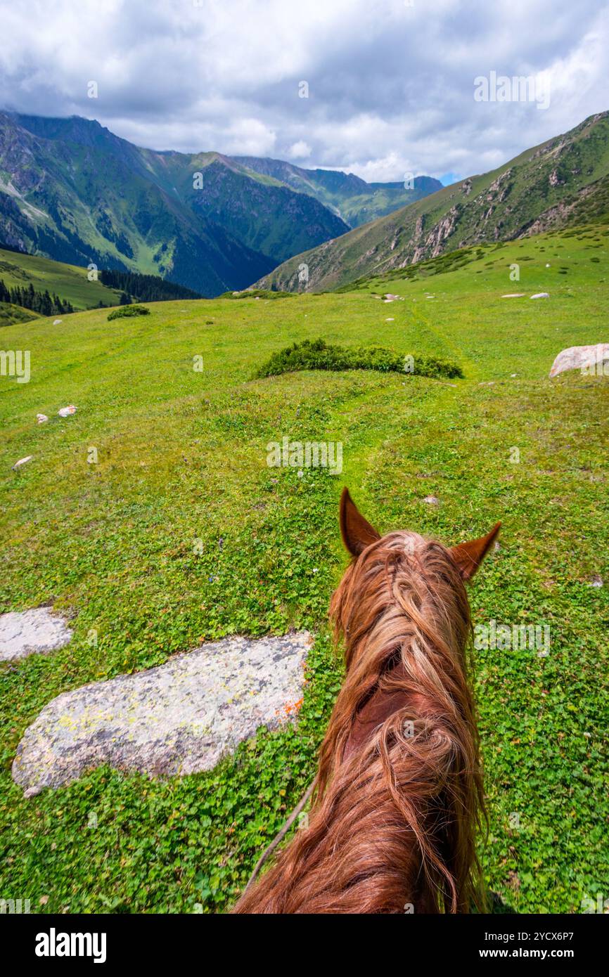 Back of head view hi-res stock photography and images - Alamy