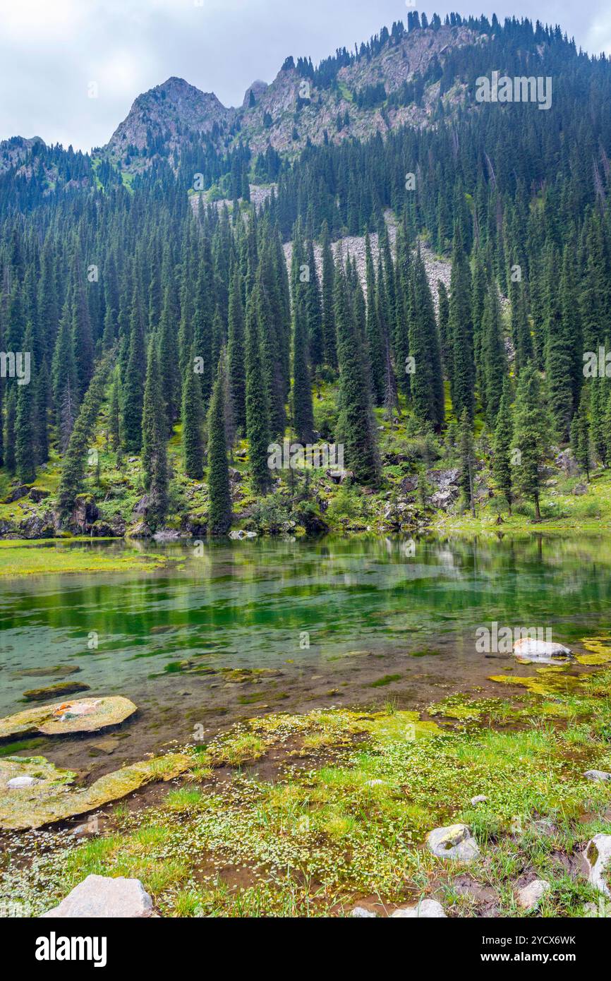 Stunning lake landscape with tree and mountain reflection of Karakol ...