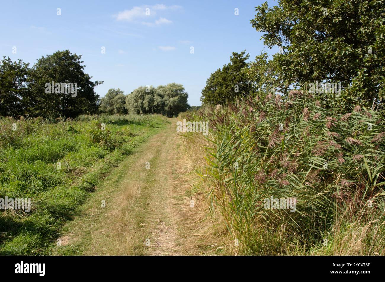 Minsmere tourism hi-res stock photography and images - Alamy
