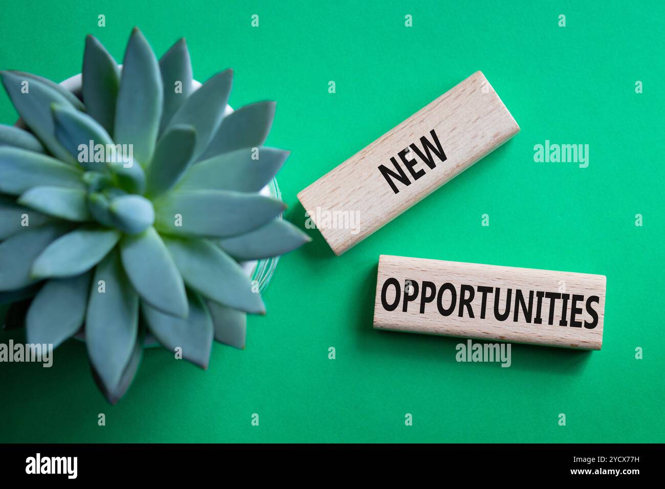 New Opportunities symbol. Concept word New Opportunities on wooden ...