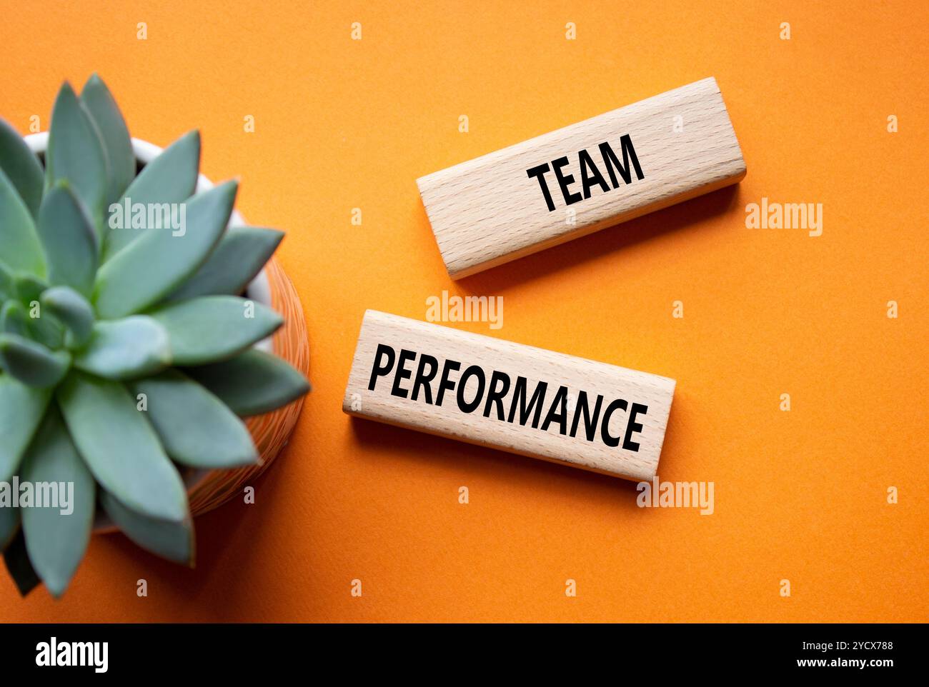 Team Performance symbol. Wooden blocks with words Team Performance ...
