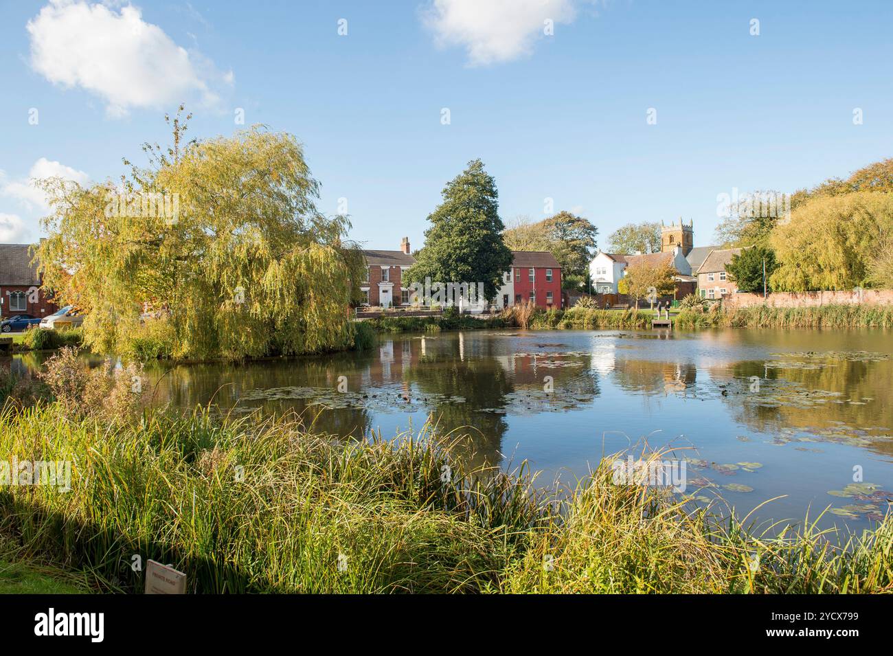 The tranquil village of Wootton, North Lincolnshire, showing the pond ...