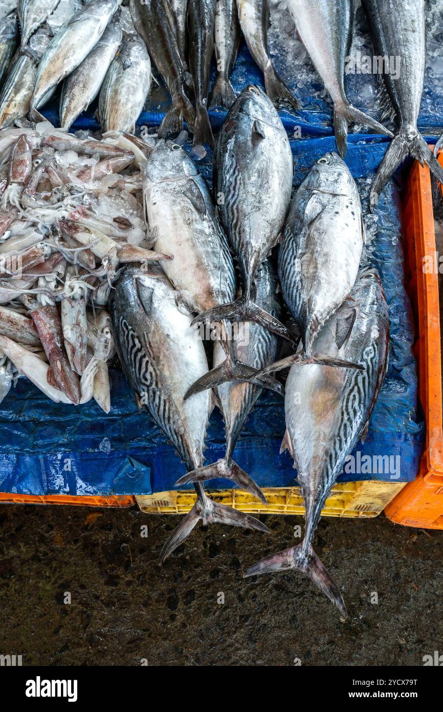 Fresh fish on local market Stock Photo - Alamy