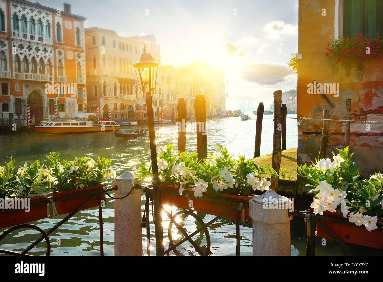 Flowers near Grand Canal, Venice Stock Photo - Alamy