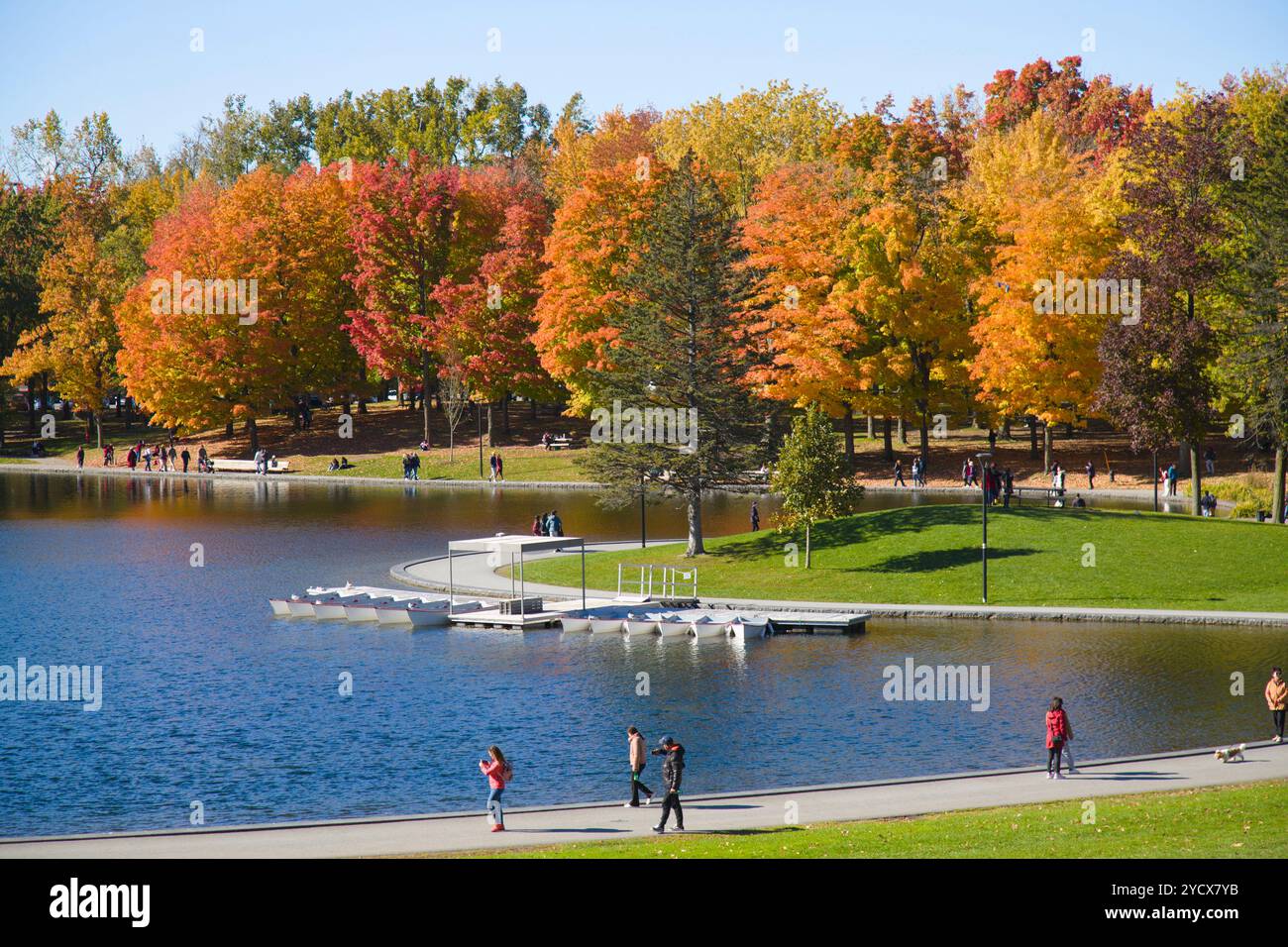Canada, Quebec, Montreal, Mount Royal Park, Beaver Lake, autum foliage ...