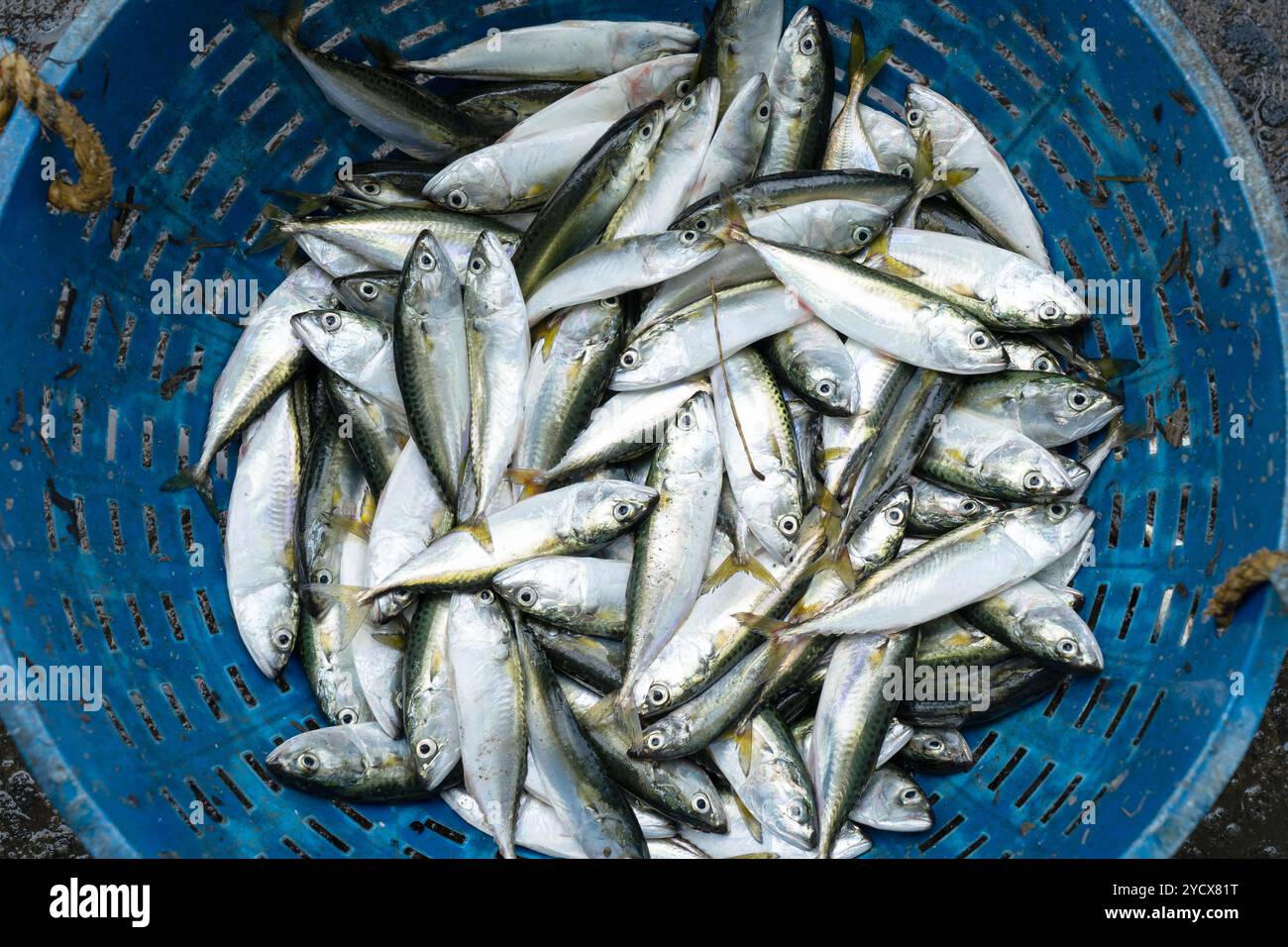 Market street stall vector hi-res stock photography and images - Alamy