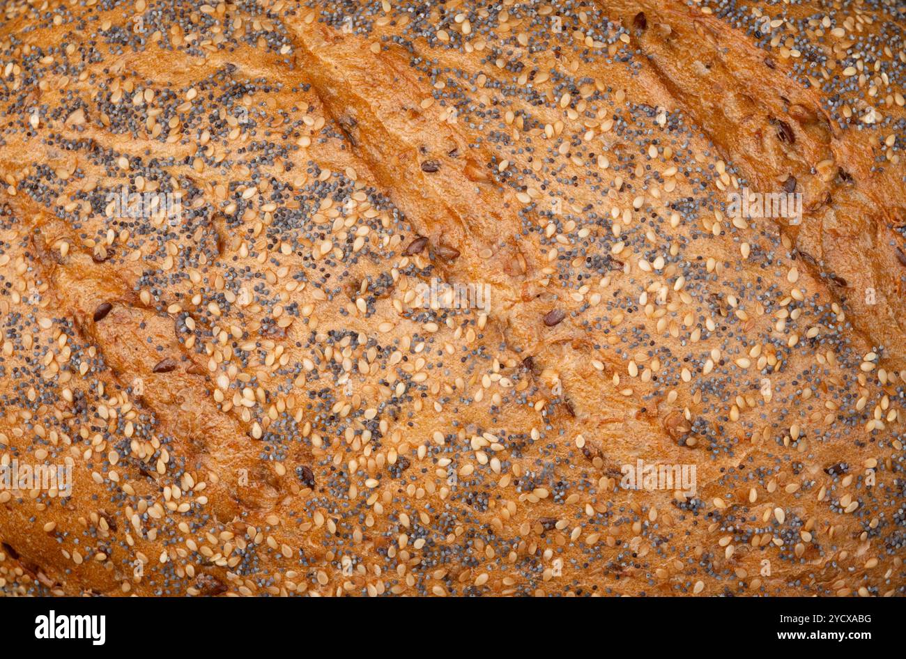 Top view of a world champion bread, multigrain bread, loaf with sesame ...
