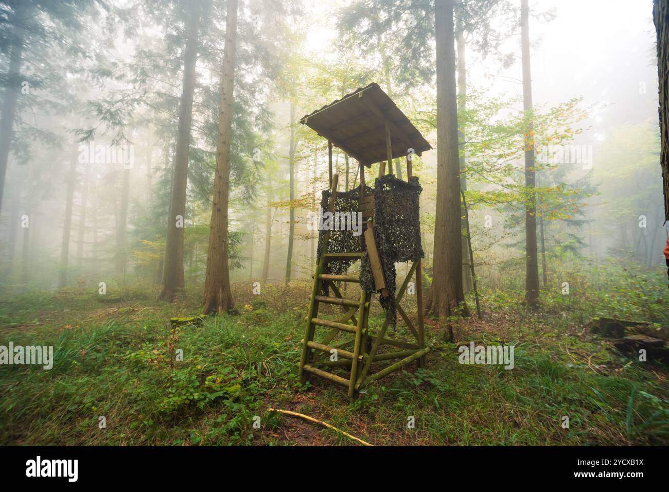 Wooden wildlife observation watch tower or deer stand in a foggy forest ...