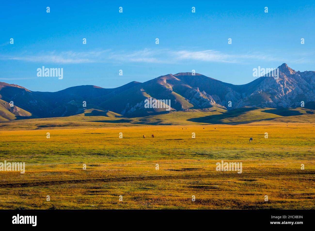 Landscape by Song Kul lake Stock Photo - Alamy