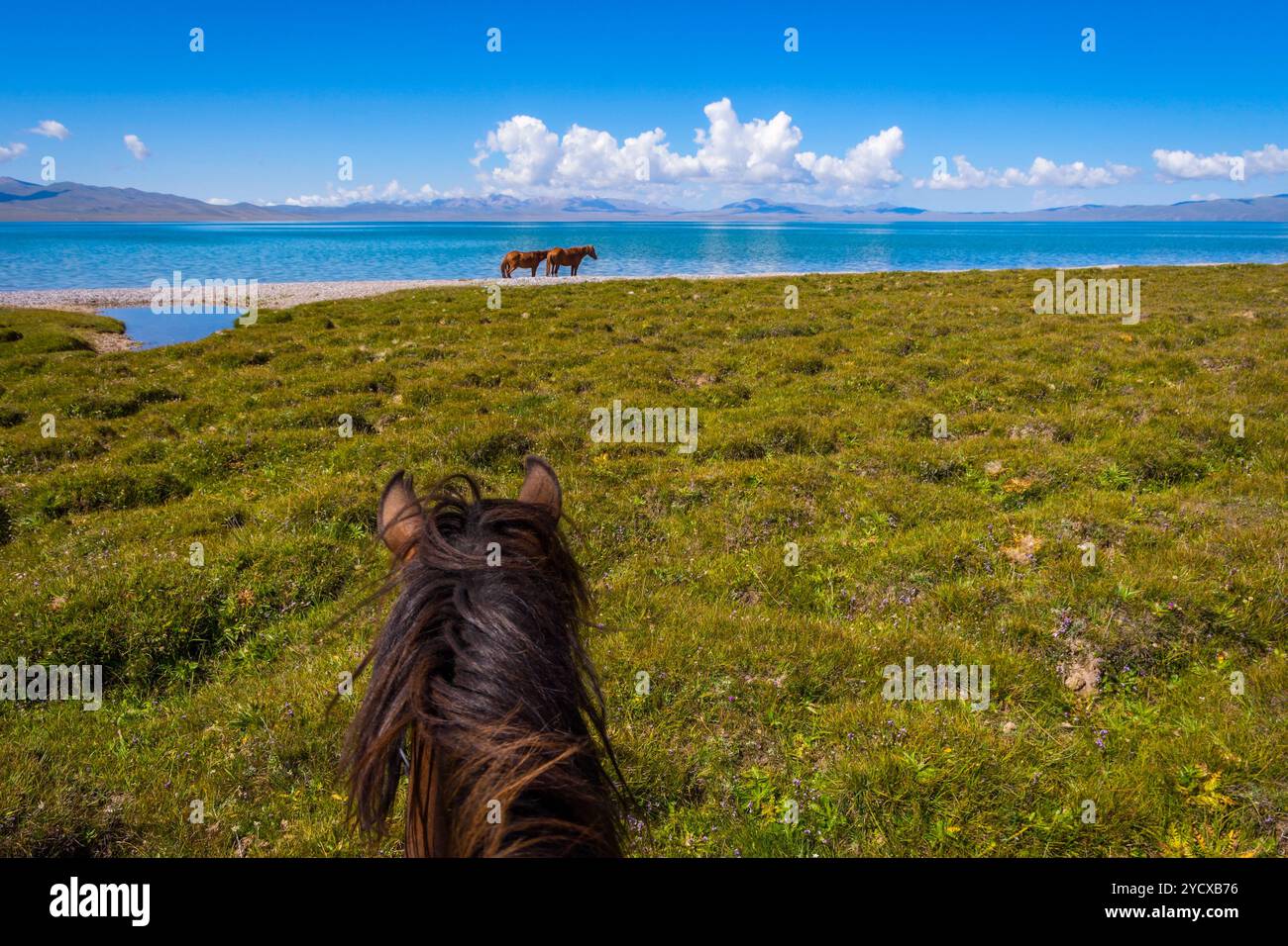 First person view riding horse hi-res stock photography and images - Alamy