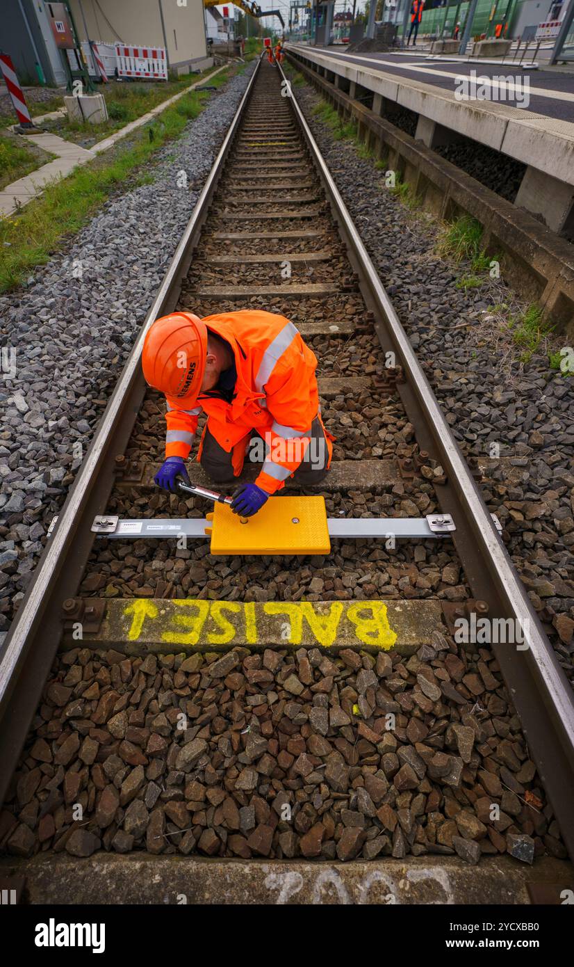 24 October 2024, Hesse, Gernsheim: A Siemens employee shows how a ...